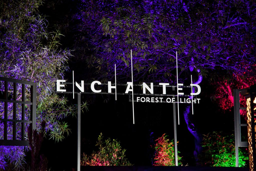 enchanted-forest-of-light-sign
